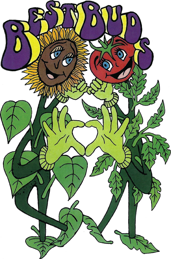 Order Online | Best Buds Illinois